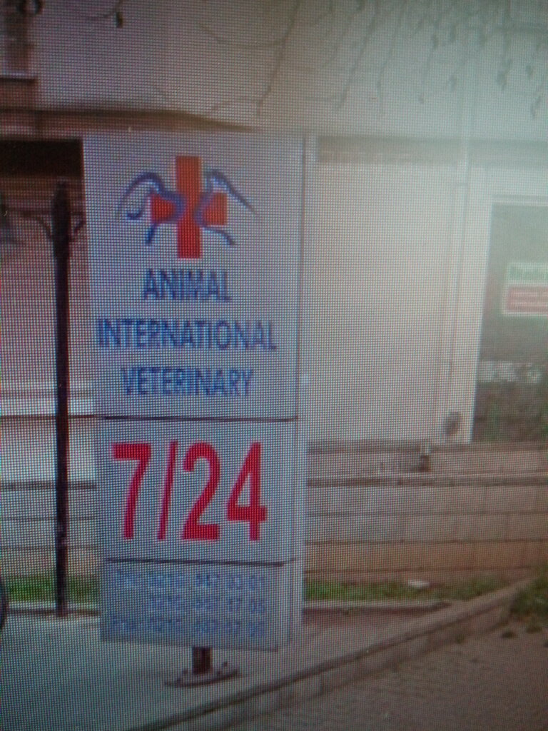Veteriner klinikleri Animal İnternasyonel Veterineri 7/24, İstanbul, foto