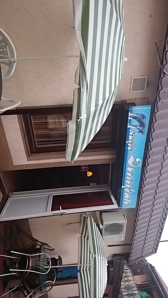 Kafe Delfin, Svetly, foto