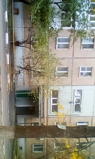 Bina, site yönetimi TSZh Rassvet, Saratov, foto