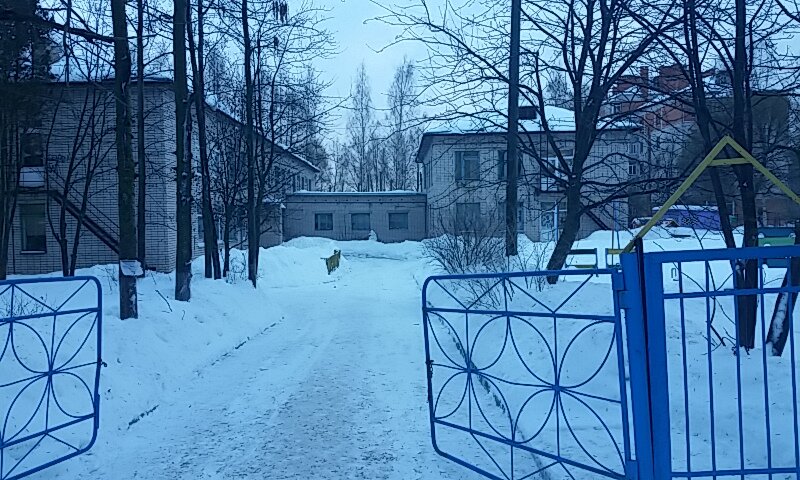 Anaokulları Detsky sad Podsnezhnik, Vologda, foto