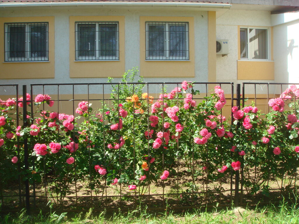 Otel Yuzhnaya, Kırım Cumhuriyeti, foto