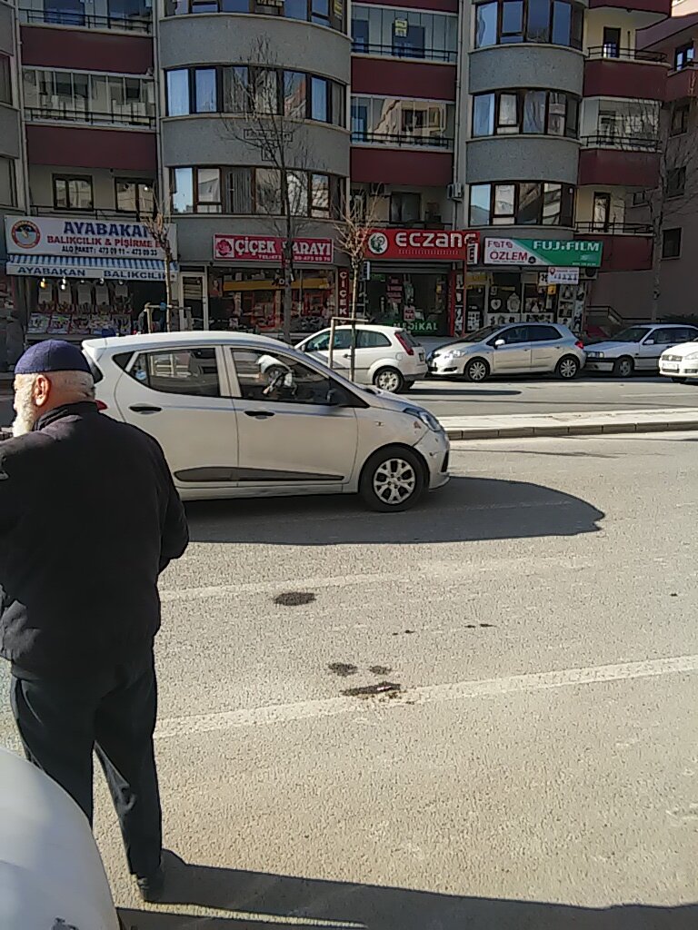 Çiçekçiler Çiçek Sarayı, Ankara, foto