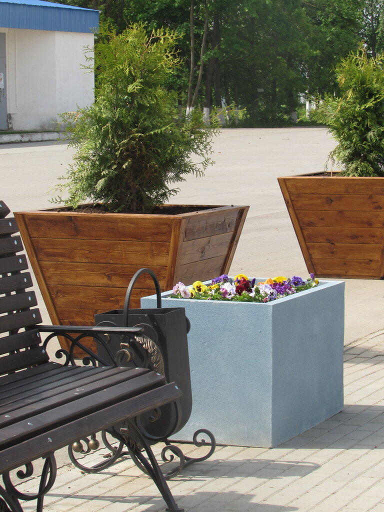 Şehir planlama Drevopark, Tulskaya oblastı, foto