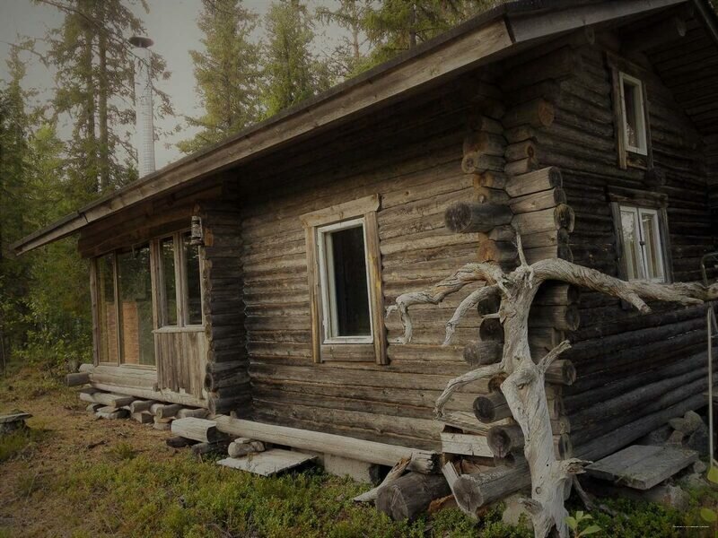 Tarım firmaları Omamaatila And Sydänmaan Highlander, Kuzey Ostrobothnia, foto