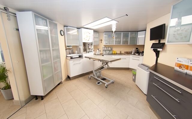 Veteriner klinikleri Tierarzt-Brunn Schildorfer, Aşağı Avusturya, foto