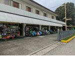 La Casalinga (Friuli-Venezia Giulia, Provincia di Udine, Via Lignano Nord, 72), mobilya mağazaları  Friuli‑Venezia Giulia'dan