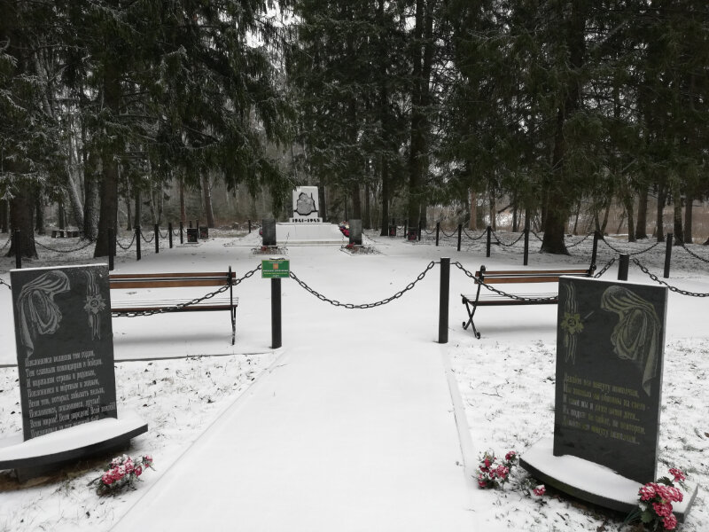 Anıt, heykel Братская могила, Kalujskaya oblastı, foto
