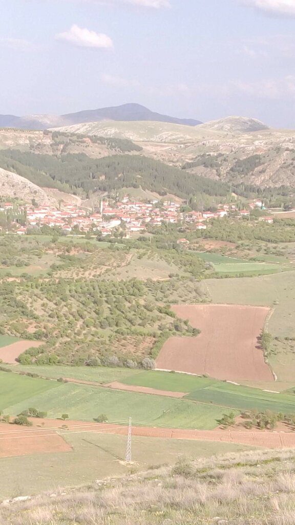 Muhtarlıklar Bademli Köy Muhtarlığı, Şuhut, foto