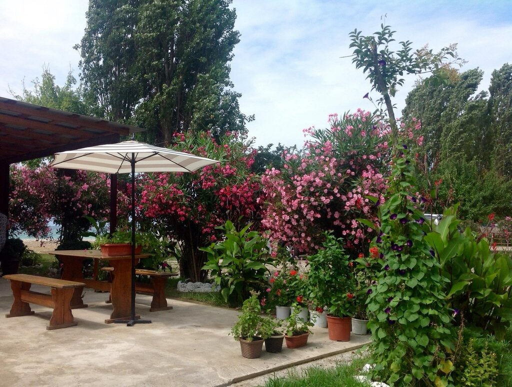 Kafe Амра, Gudauta Bölgesi, foto