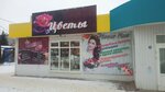 Flower Fest (Oktyabr'skaya Street No:126Г), çiçekçiler  Donskoy'dan