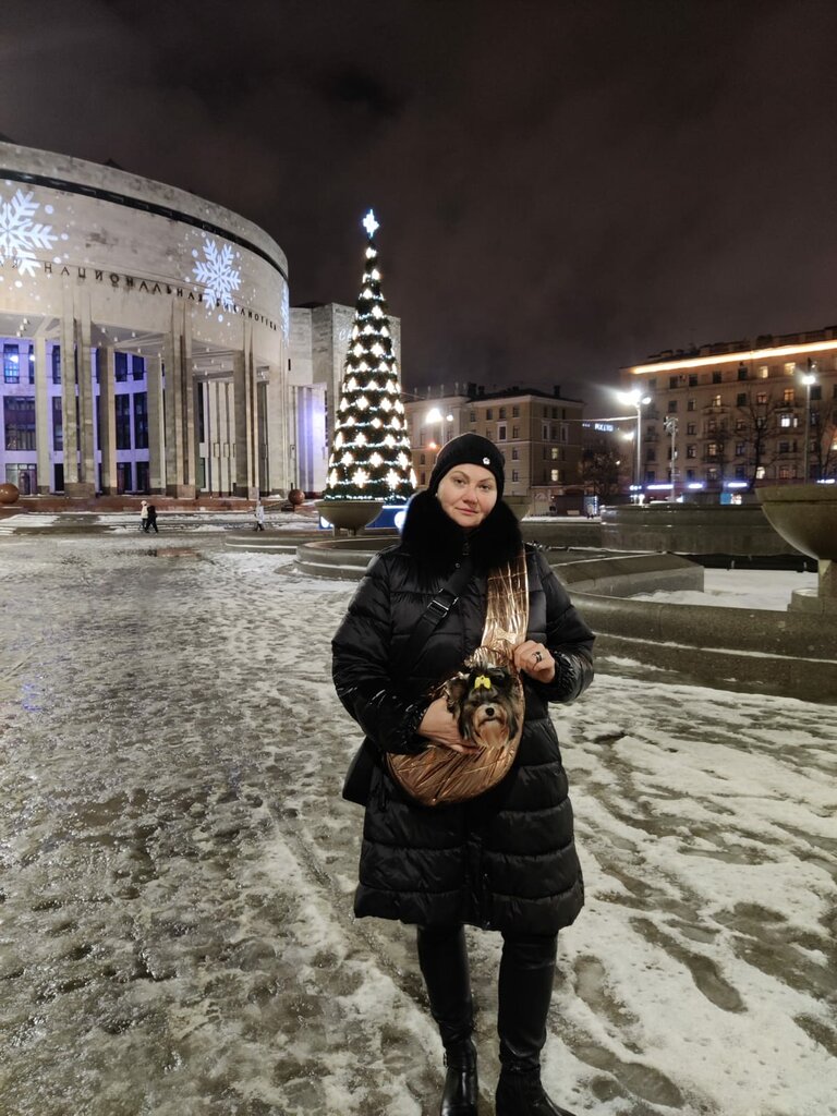 Buz pateni pistleri Ice rink, Moskova ve Moskovskaya oblastı, foto