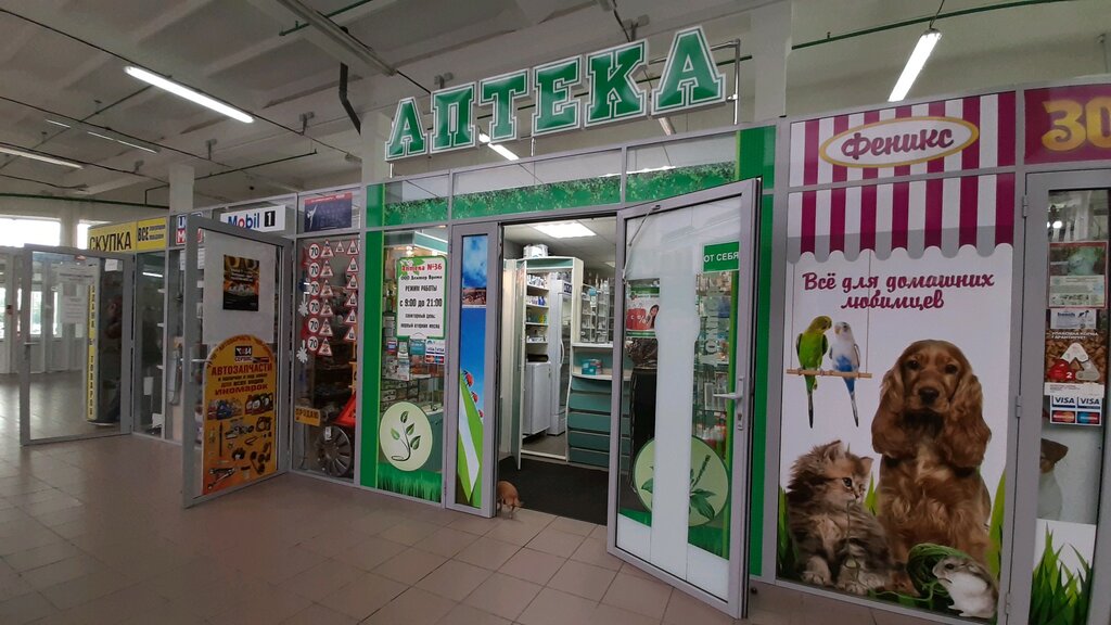 Eczaneler Doktor Vremya, Gomel, foto