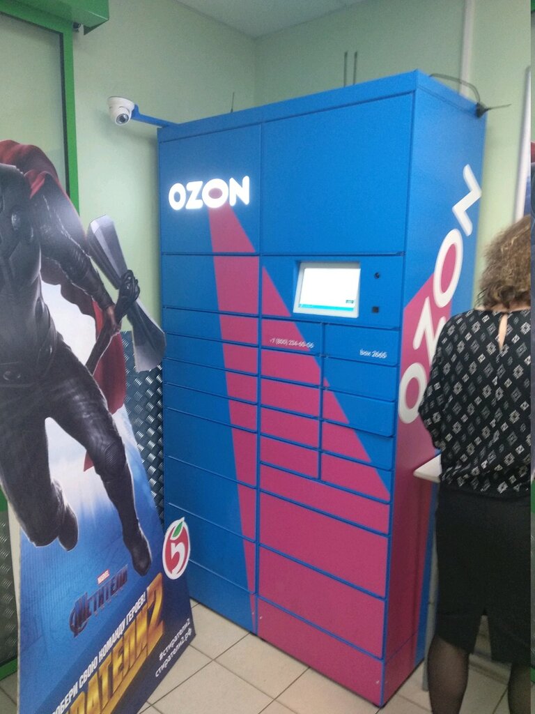 Teslimat noktası Ozon, Domodedovo, foto