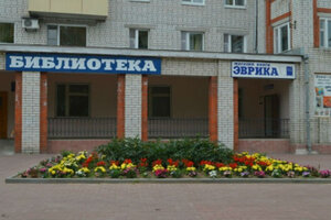 Bogorodskaya rayonnaya tsentralizovannaya bibliotechnaya sistema Nizhegorodskoy oblasti, Tsentralnaya biblioteka (ulitsa Lenina No:202), kütüphaneler  Bogorodsk'tan