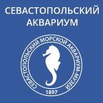 Kassa akvariuma (Sevastopol, Primorsky Boulevard), diğer gişeler  Sevastopol'dan