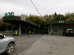 Terminal (Malahova Street No:51В), benzin istasyonu  Barnaul'dan