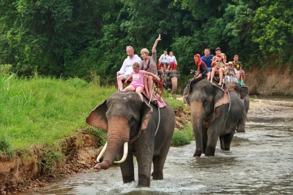Geziler WoWtour Экскурсии на Пхукете, Phuket Eyaleti, foto