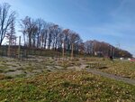 Спортивная площадка (Vostochnaya ulitsa No:1, mikrorayon Levoberezhny, selo Osinovaya Gora), spor alanı  Tulskaya oblastından