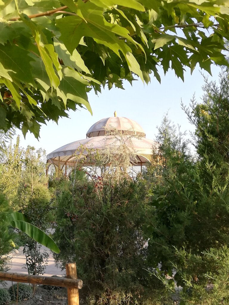 Müzik kulüpleri Bog'ishamol Garden, Semerkant eyaleti, foto