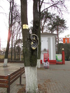 Дерево с ухом (Minskaja region, Barysaw), doğa  Borisov'dan