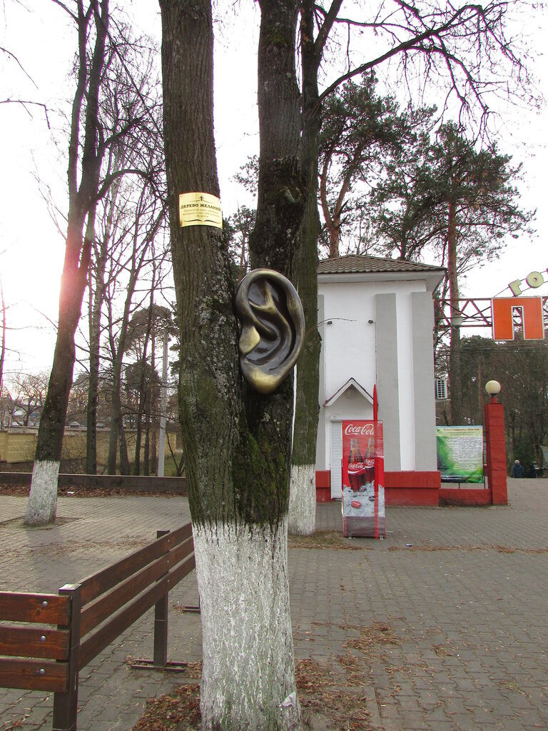 Doğa Дерево с ухом, Borisov, foto