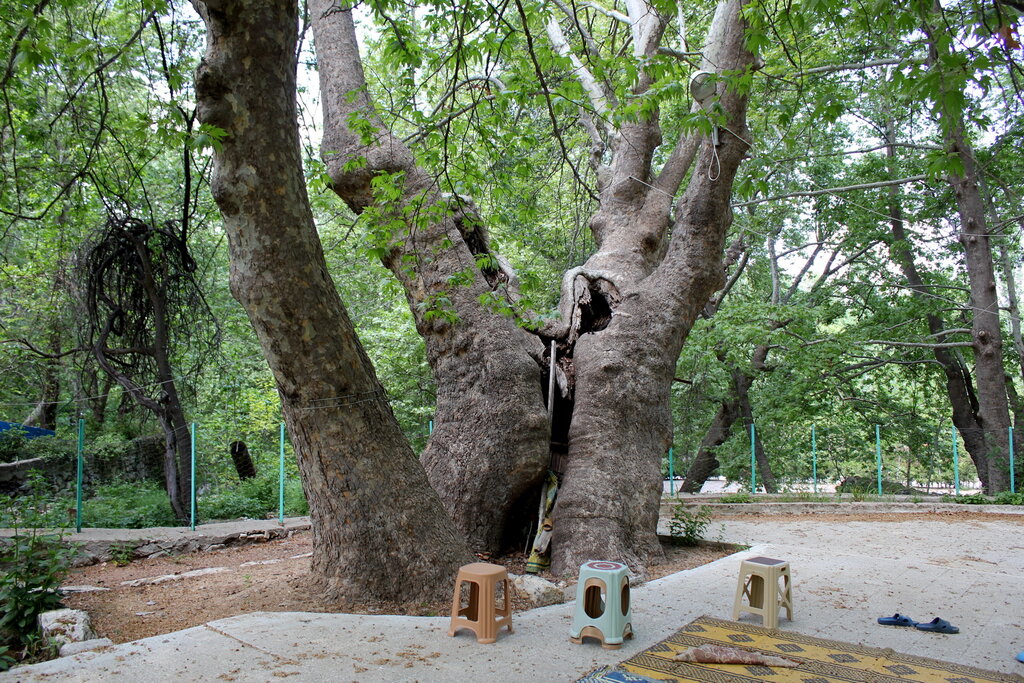 Kamp alanları Zeyve Pazarı Mesire Yeri ve Kamp Alanı, Ermenek, foto