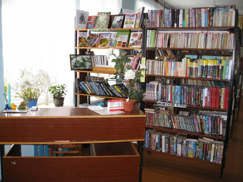 Kütüphaneler Библиотека с. Степного, Yahudi Özerk Bölgesi, foto