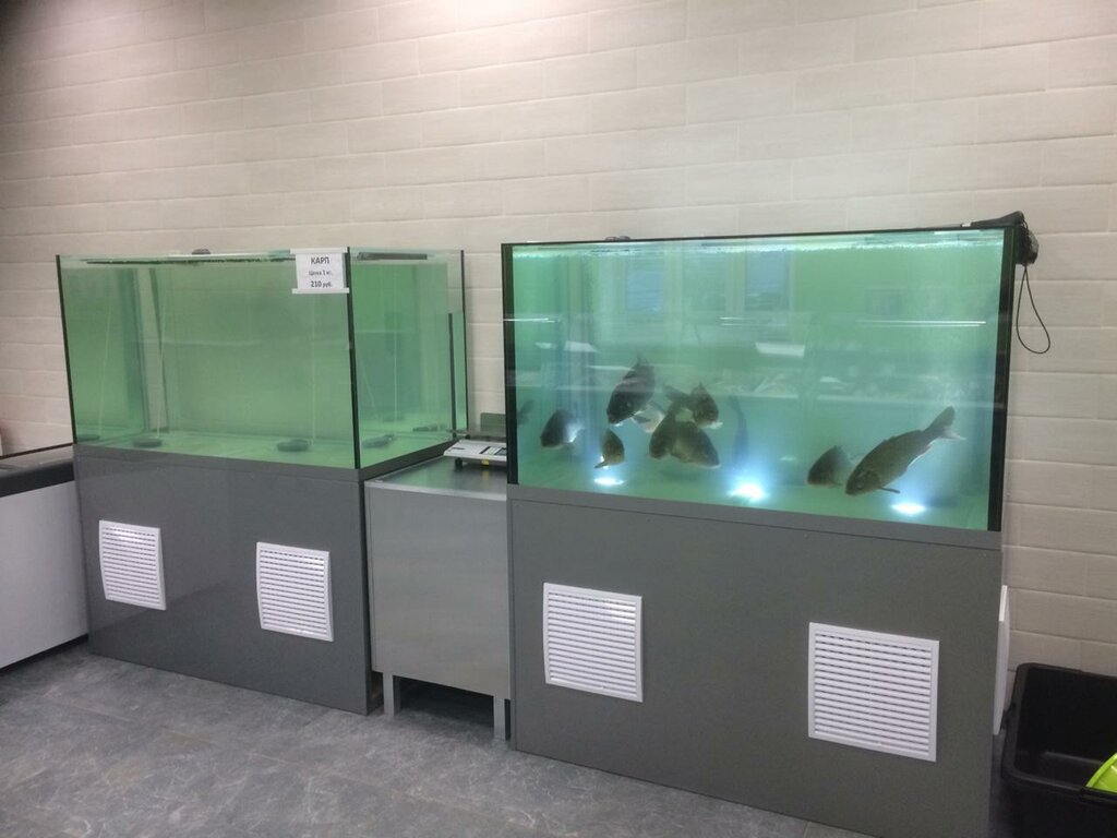 Market Гурман, Moskova, foto