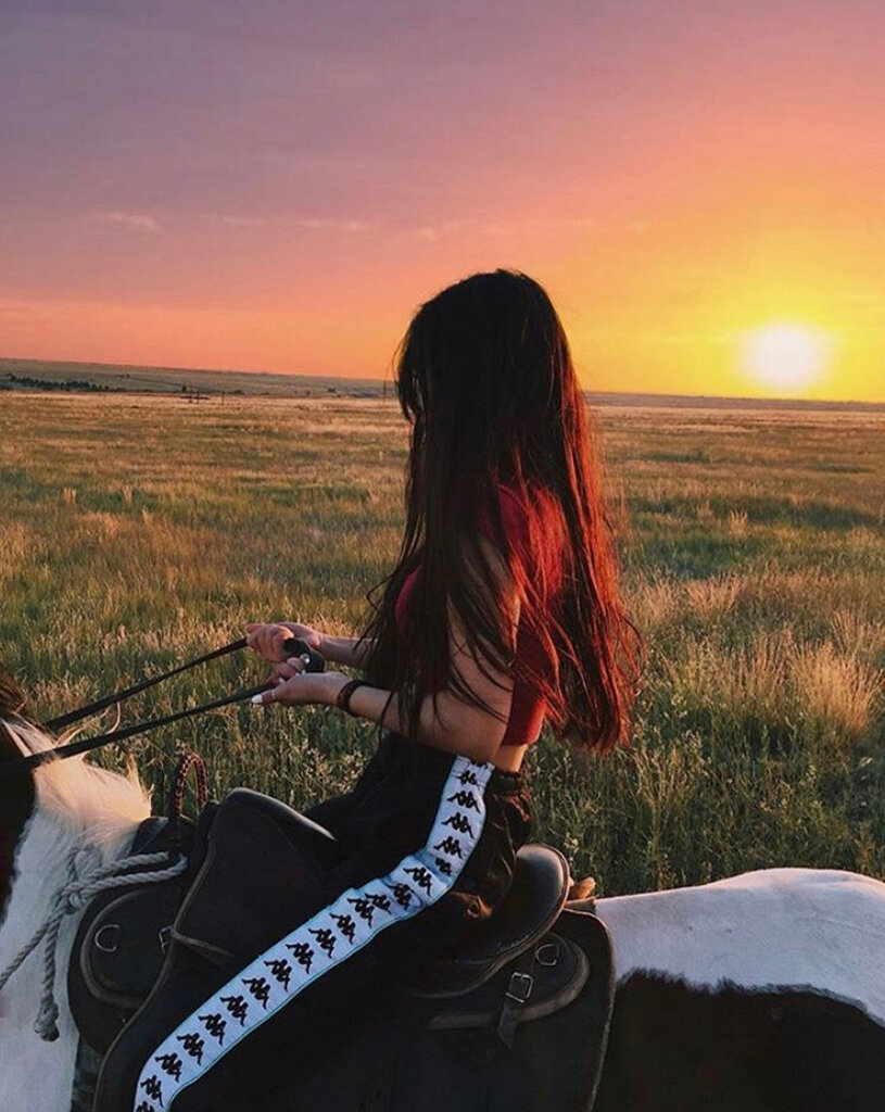 At ve binicilik kulüpleri КонТур клуб, Elista, foto