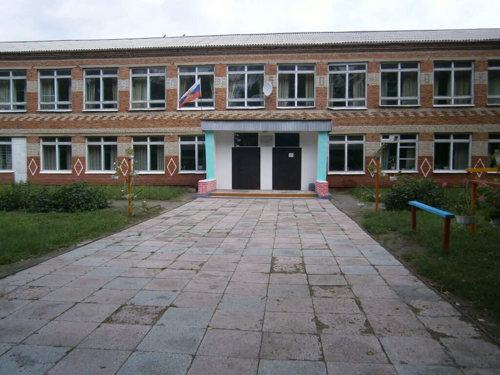 Ortaokul Баклушевская средняя общеобразовательная школа, Novosibirskaya oblastı, foto