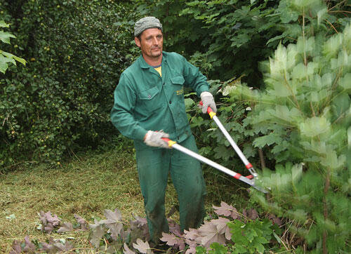 Temizlik şirketleri Wogrin Werner GmbH - Dienstleistungsservice, Steiermark, foto