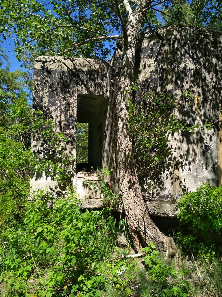 Turistik yerler Одноказематный дот № 505, Brest, foto