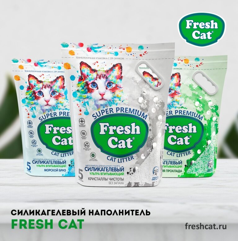Petshop Fresh Cat, Solneçnogorsk, foto