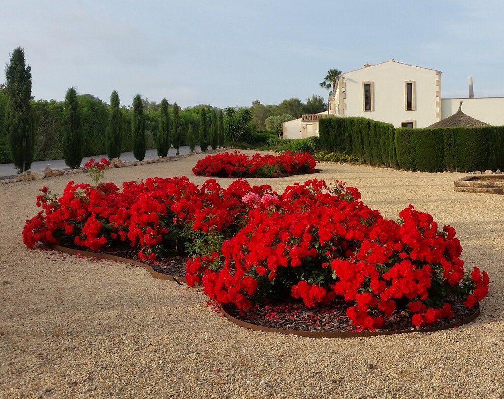Yüzme havuzları Jardinería y riegos Galvez, Balear Adaları, foto