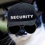 Cat Security (Yakornaya Street No:9А), evcil hayvanlar için ürünler  Saint‑Petersburg'dan