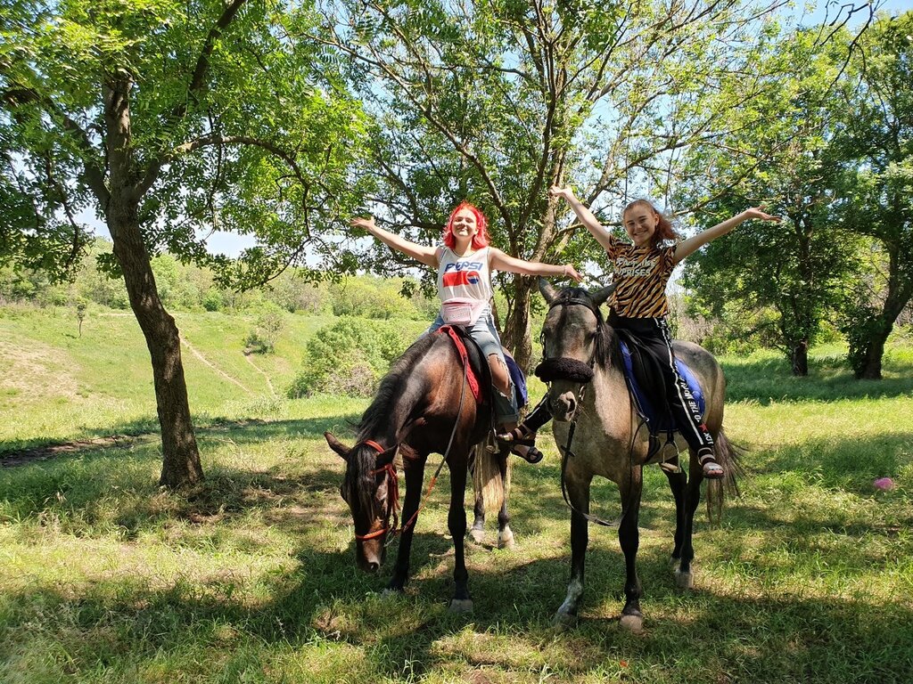 At ve binicilik kulüpleri Конные прогулки Kve_elita, Rostov‑na‑Donu, foto