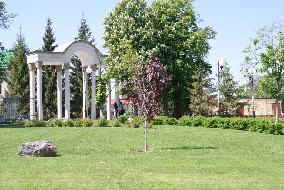 Kültür ve eğlence parkları Парк культуры и отдыха, Belgorodskaya oblastı, foto