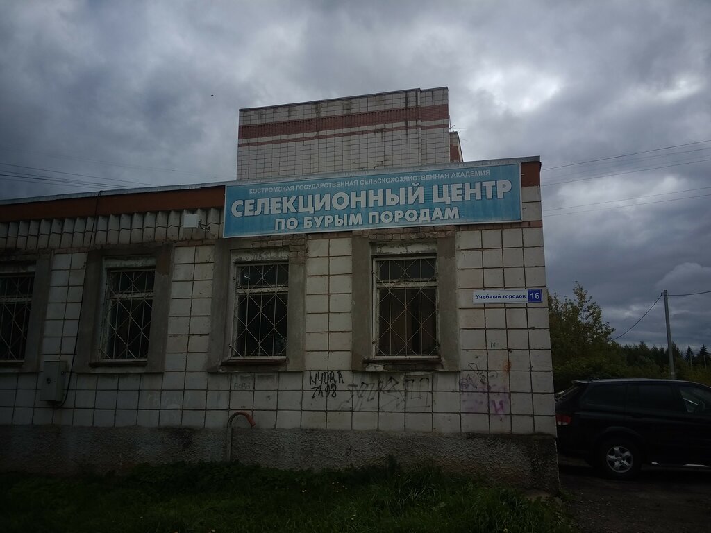Bilim araştırma enstitüsü Костромской ГСХА, селекционный центр, Kostromskaya oblastı, foto