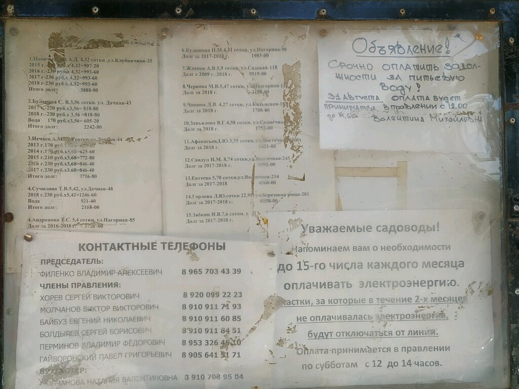 Bahçecilik dernekleri ve kuruluşları Конструктор-Т, Kaluga, foto