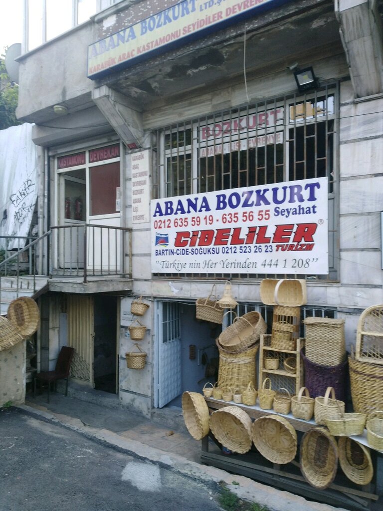 Otobüs taşımacılığı Abana Bozkurt Seyahat, İstanbul, foto