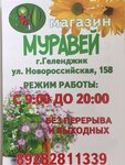 Muravey (Novorossiyskaya Street No:158), bahçecilik mağazaları  Gelencik'ten