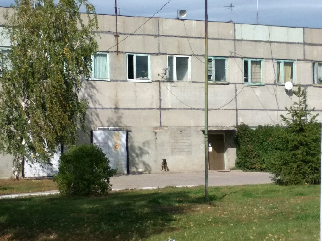 Bina, site yönetimi ТСЖ, Академика Павлова, Ulyanovskaya oblastı, foto