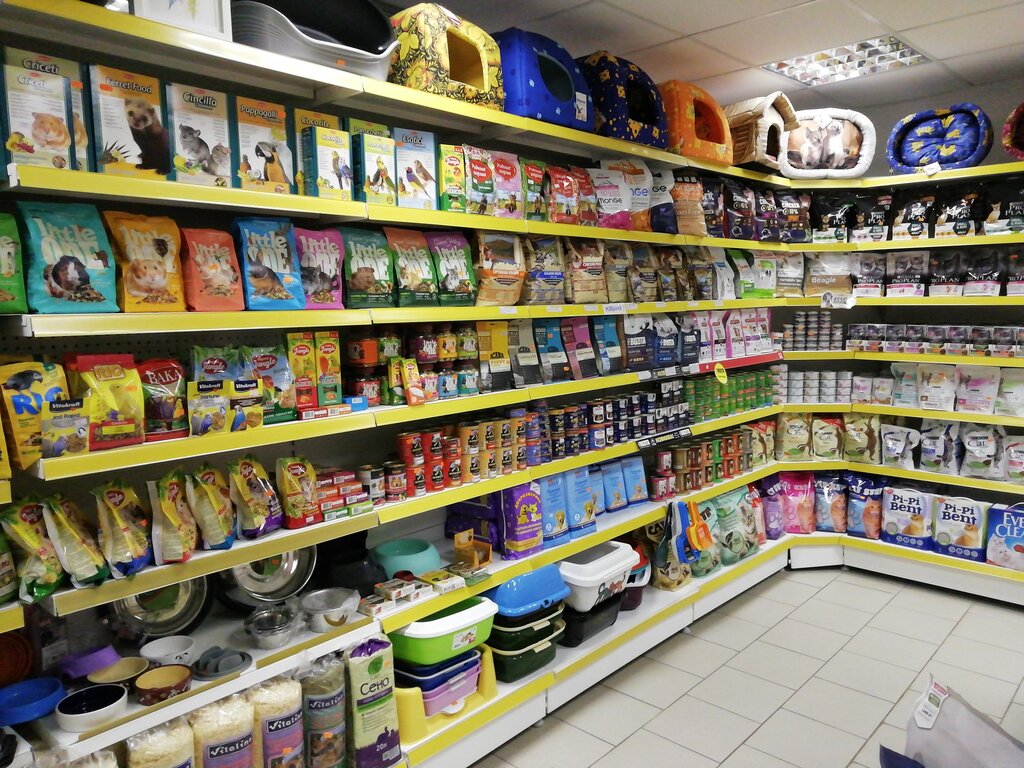 Petshop ZOOmagazin Timon, Koroliov, foto