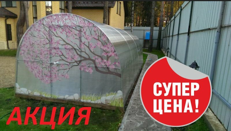 Sera ekipmanları Billion, Tiumen, foto