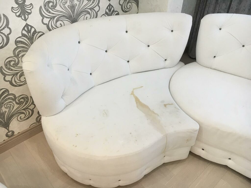 Kuru temizlemeciler Chistyi Slon, Krasnodar, foto