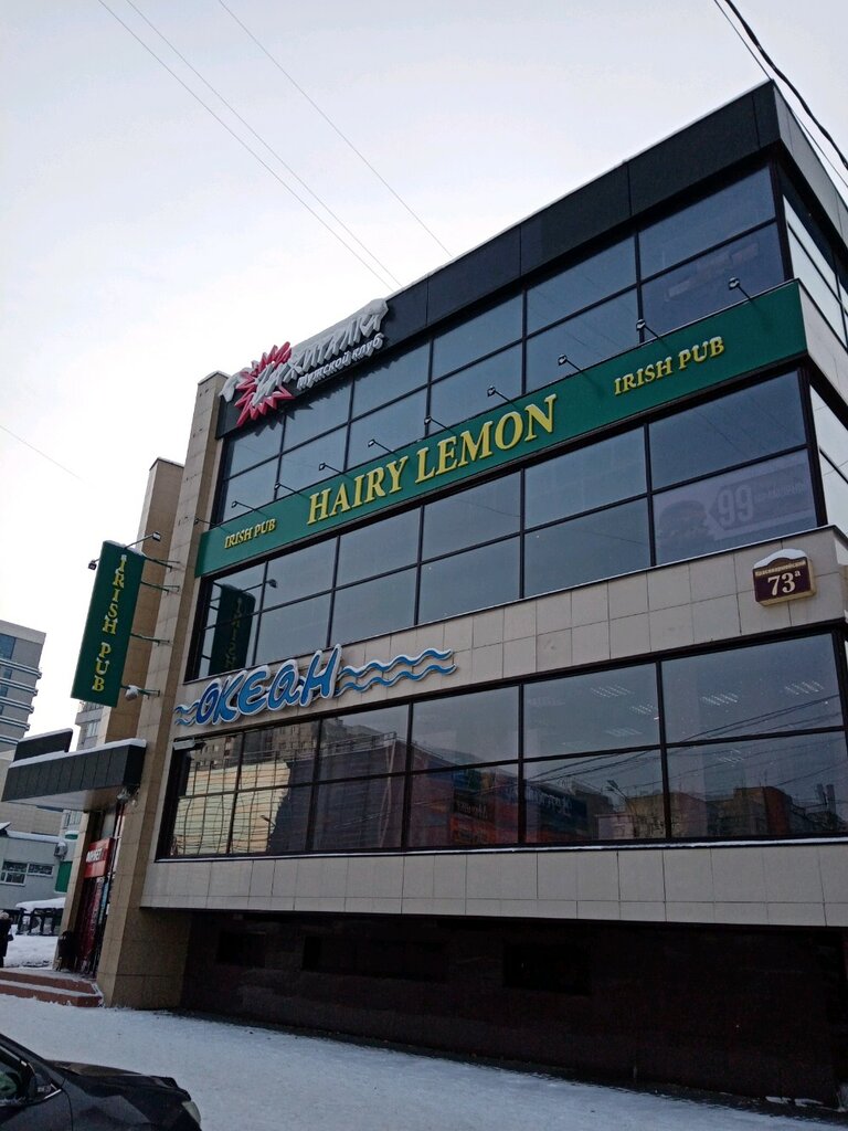 Bar Hairy Lemon pub, Barnaul, foto