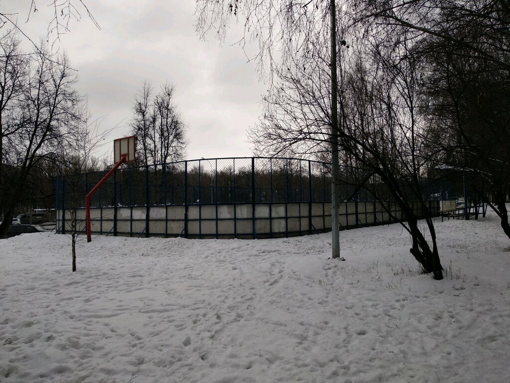 Spor alanı Dvorovaya territoriya, Moskova, foto