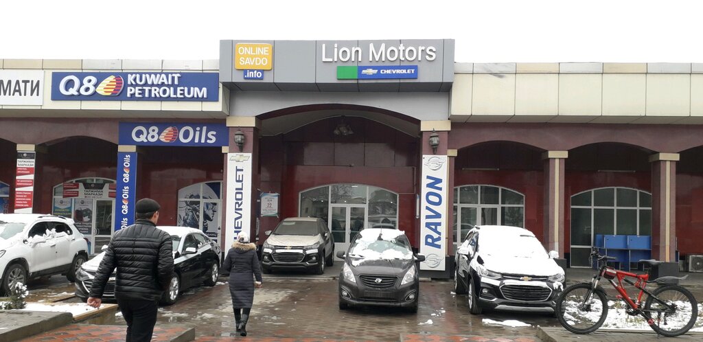 Otomobil satış galerileri Lion Motors, Andican, foto