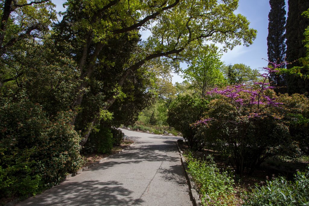 Termal otel Оздоровительный центр Глория, корпус Магнолия, Kırım Cumhuriyeti, foto