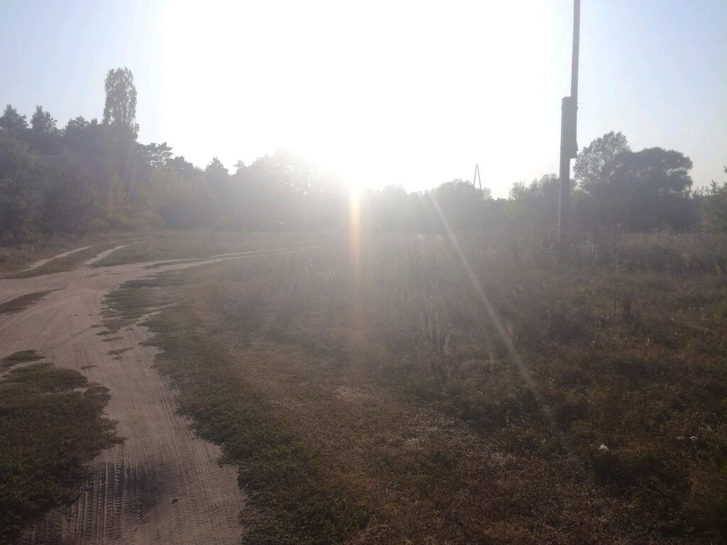 Otoparklar Car park, Voronej, foto
